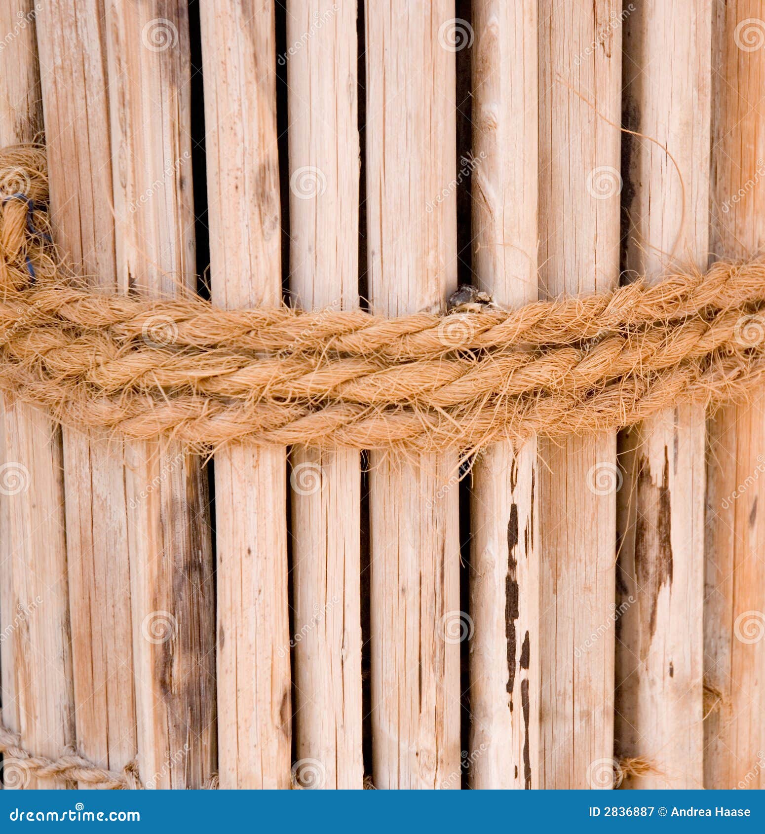 Bundle stock image. Image of bunch, wood, rope, material - 2836887