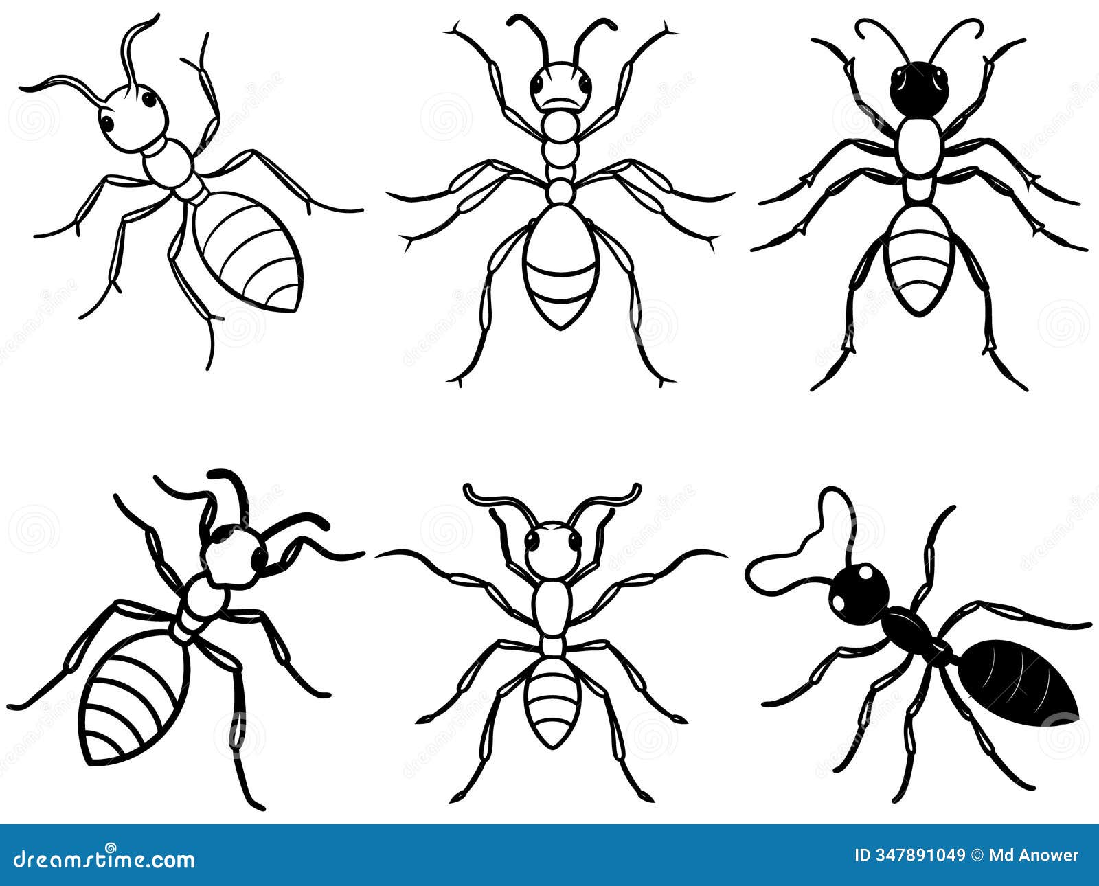 Bundle Ant Line Art and Illustrator Stock Illustration - Illustration ...