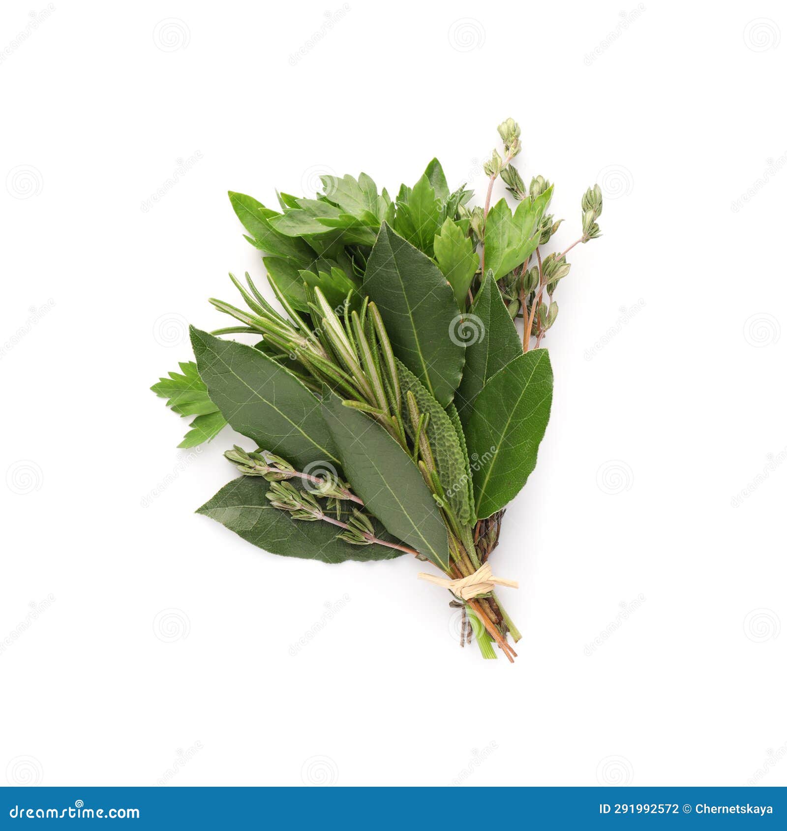 Bundle of Aromatic Bay Leaves and Different Herbs Isolated on White ...