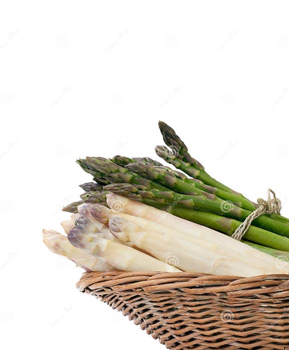 Bundle of asparagus stock image. Image of healthy, wrapped - 14080609