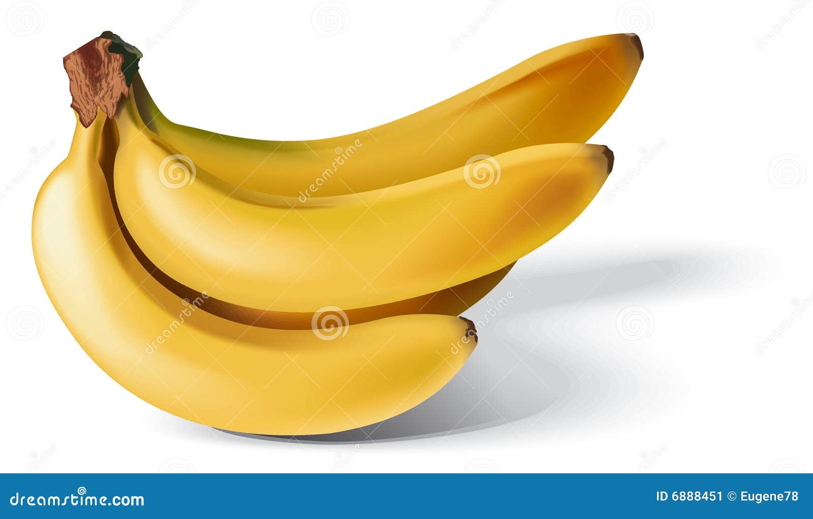 Bundle of bananas stock vector. Illustration of nutrition - 6888451
