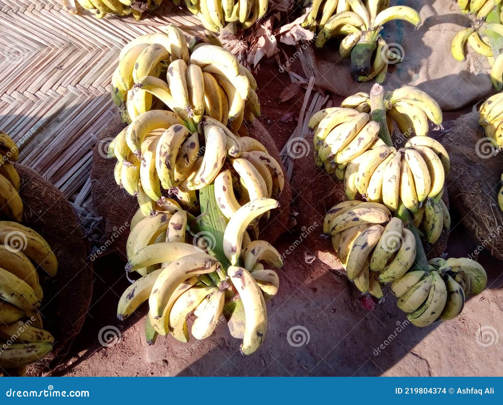 Bundle of Bananas. Dungar of Bananas Stock Photo - Image of four, cells ...