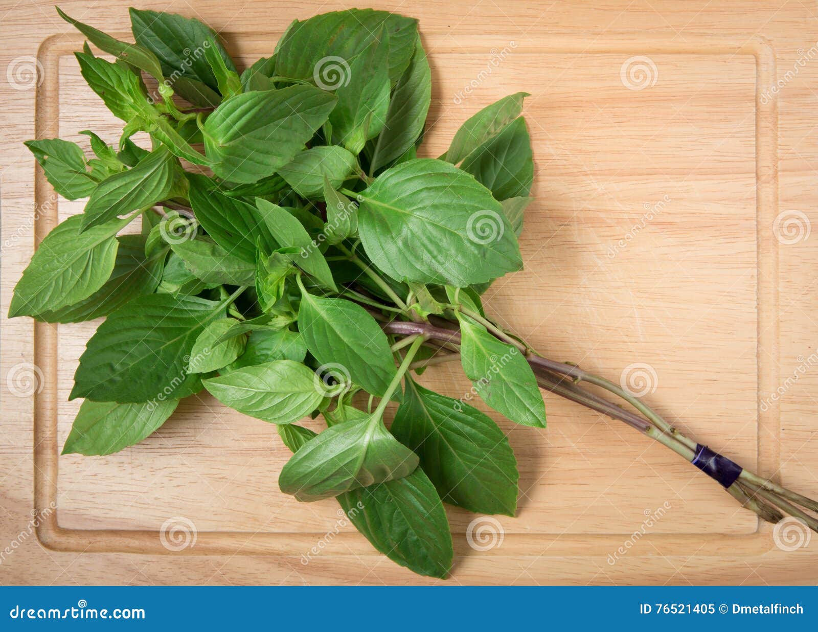 Bundle of basil stock image. Image of bundle, diet, basil - 76521405