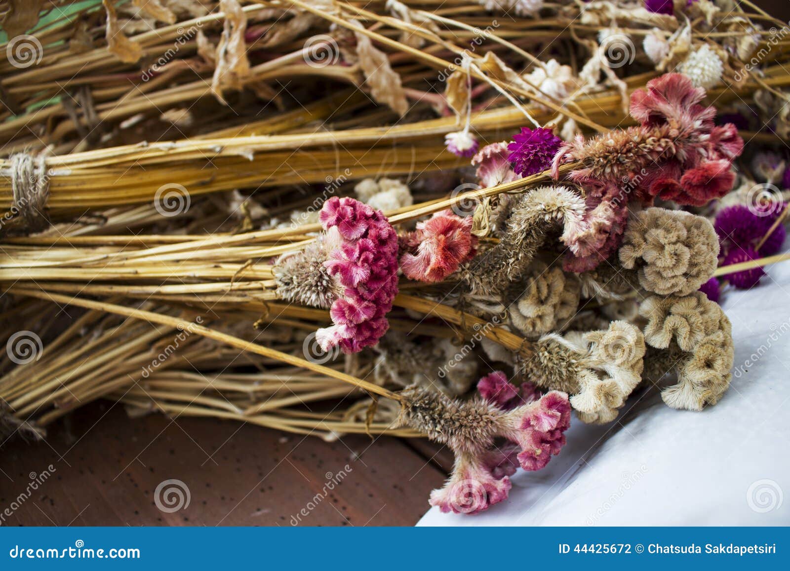 A Bundle of Beautiful Dry Cockscomb Stock Photo - Image of nature ...