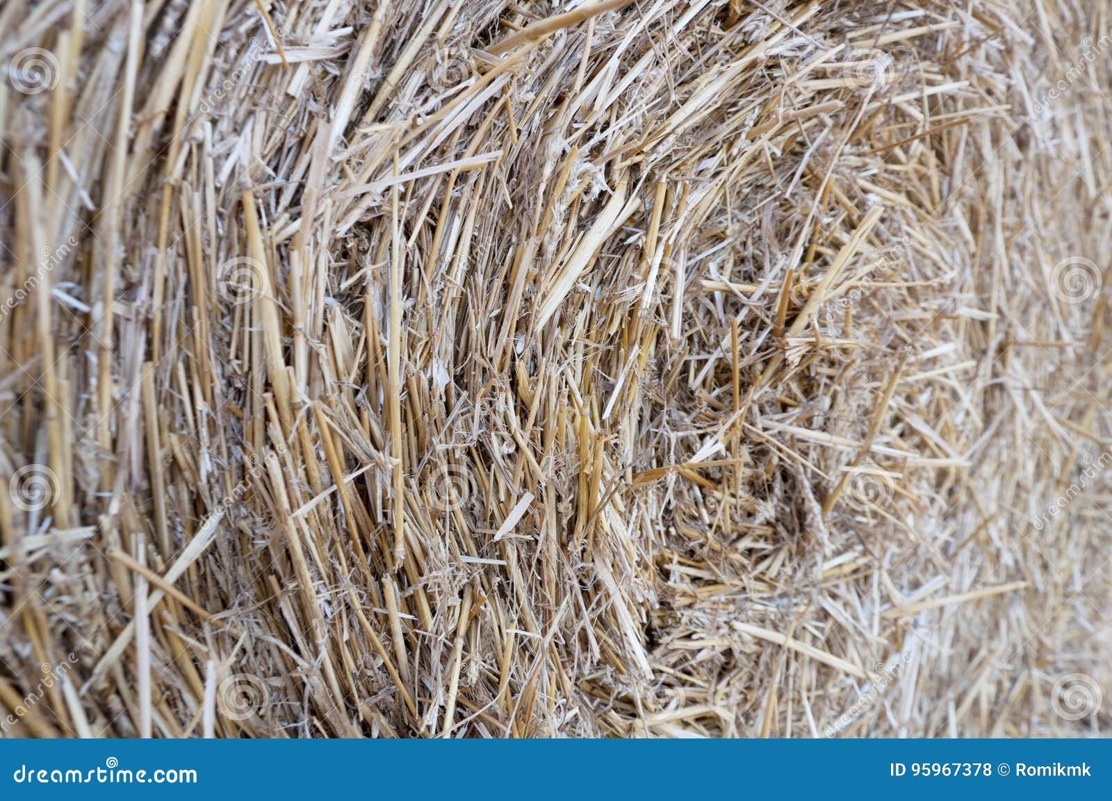 Bundle of Beveled Straw Close Up Stock Photo - Image of beveled, bundle ...