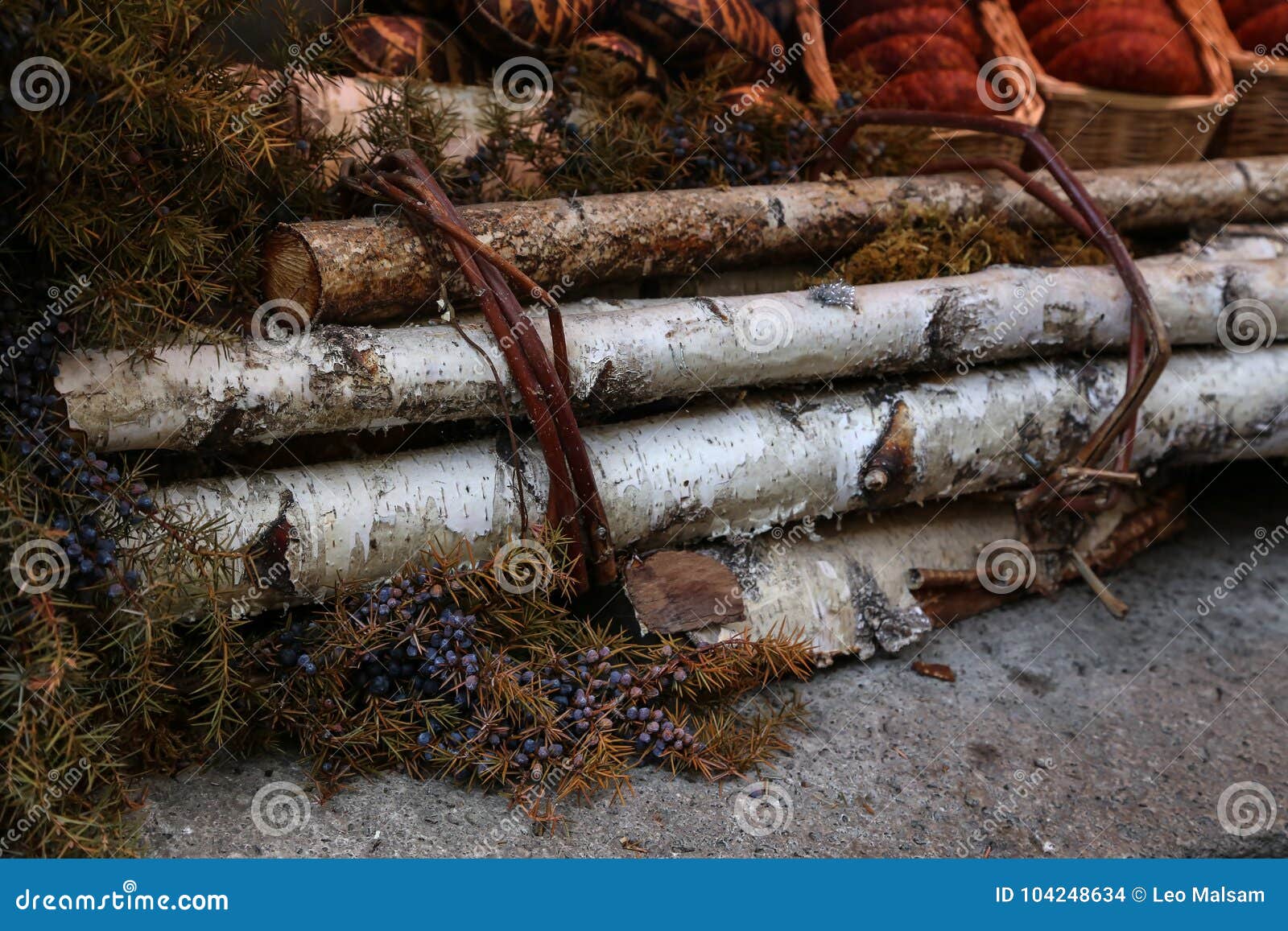 Bundle of birch rods stock photo. Image of texture, wattle - 104248634