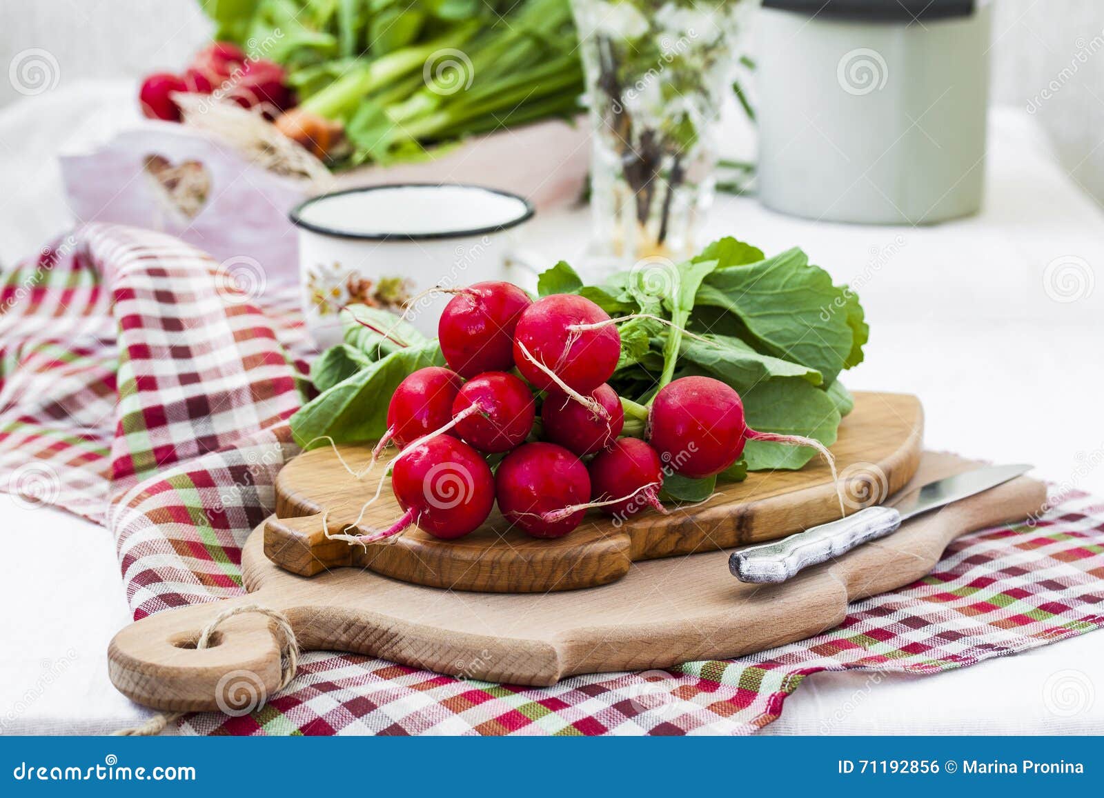 Bundle of Bright Fresh Organic Radishes with Leaves Stock Photo - Image ...