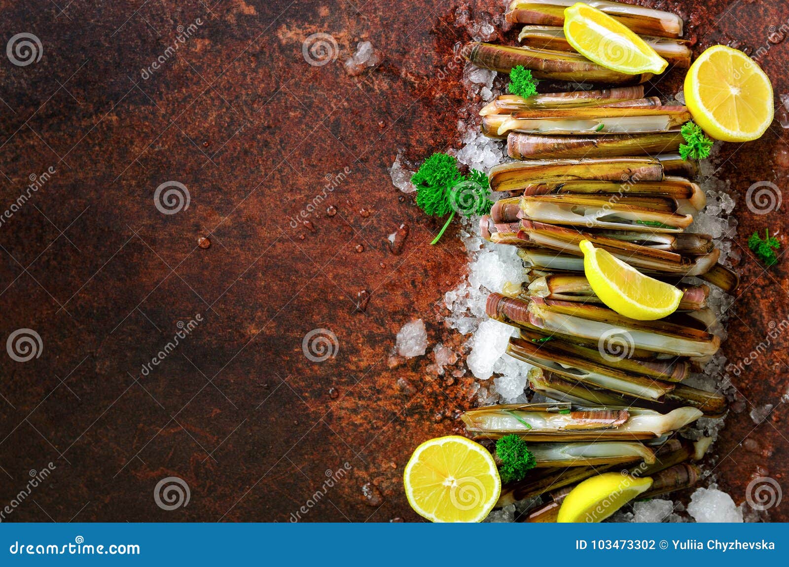 Bundle, Bunch of Fresh Razor Clams on Ice, Dark Concrete Background ...