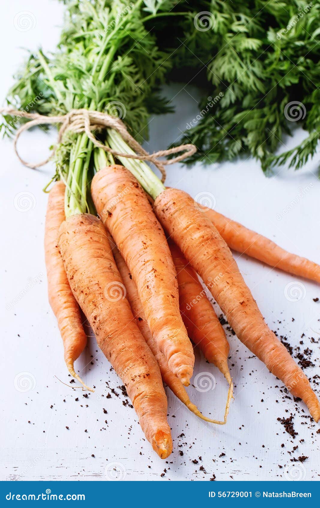 Bundle of carrots stock image. Image of bunch, fresh - 56729001