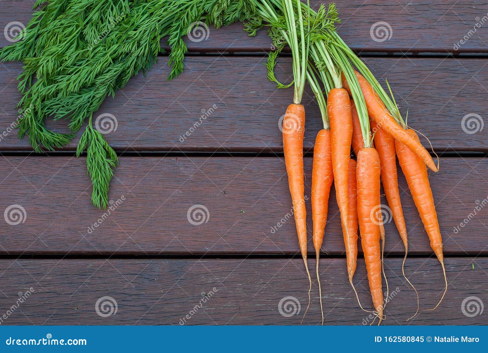 Bundle of Carrots on the Wood Stock Image - Image of green, health ...