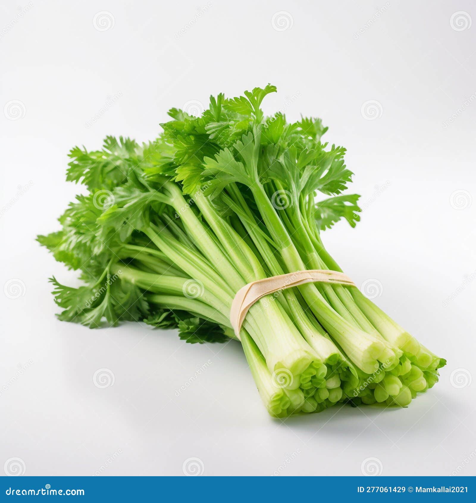 Celery bundle stock illustration. Illustration of soil - 277061429