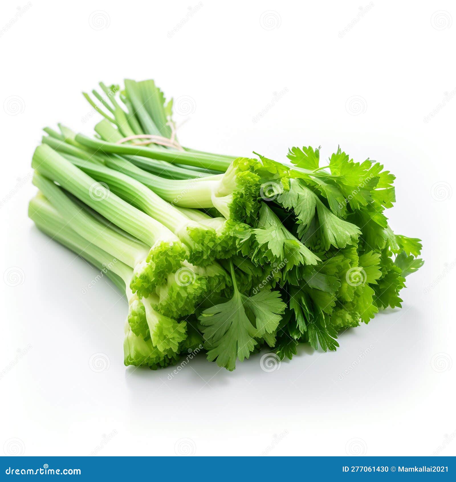 Celery bundle stock illustration. Illustration of shrub - 277061430