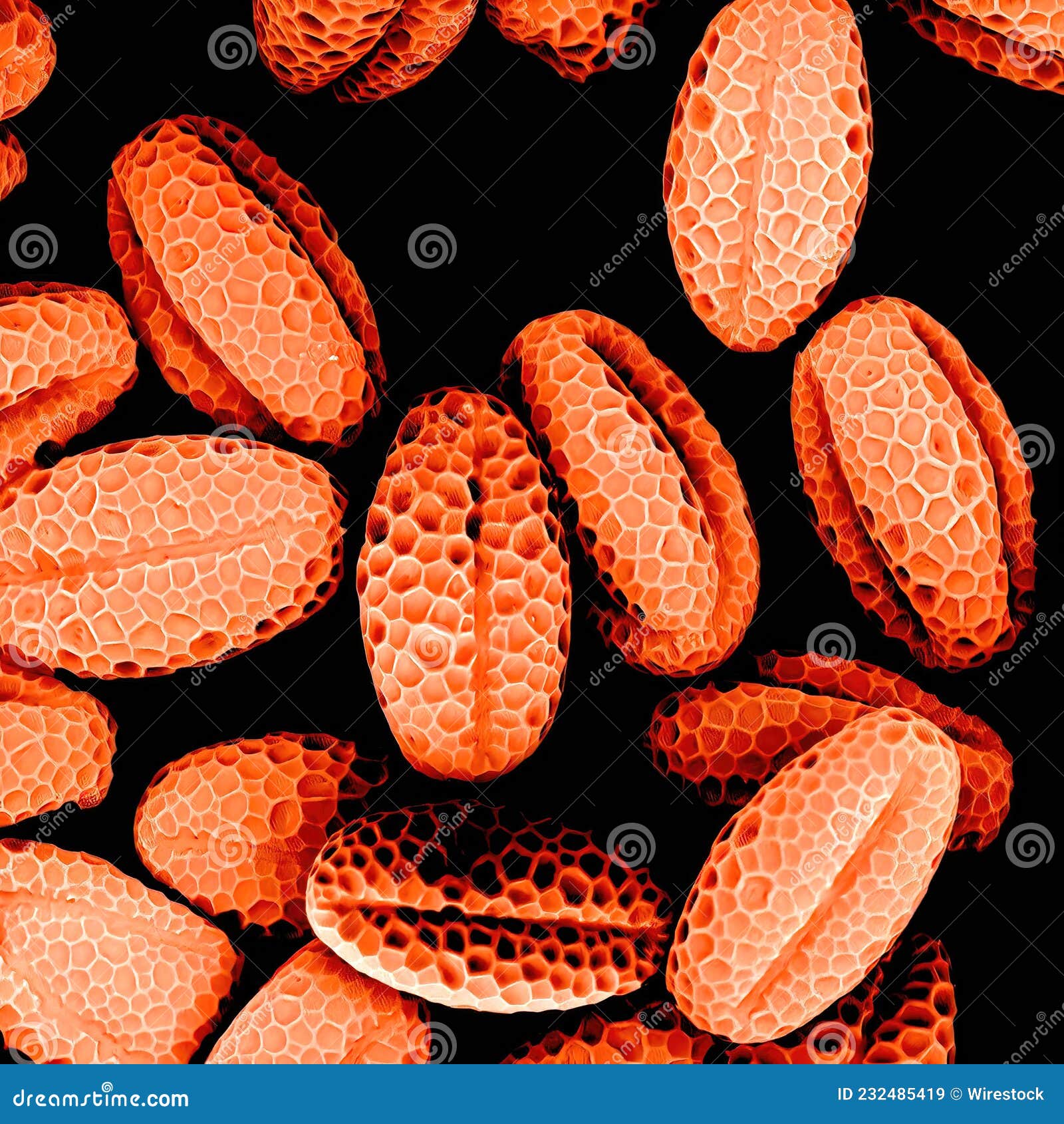 Bundle of Chives Pollen Observed in a Scanning Electron Microscope ...