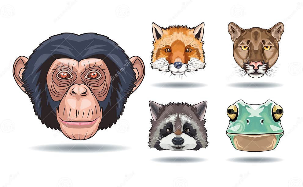 Bundle of Five Animals Heads Characters Stock Vector - Illustration of ...
