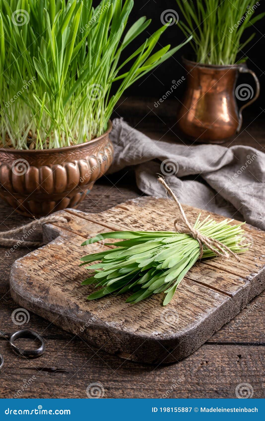 A Bundle of Fresh Barley Grass Stock Image - Image of nature, eating ...