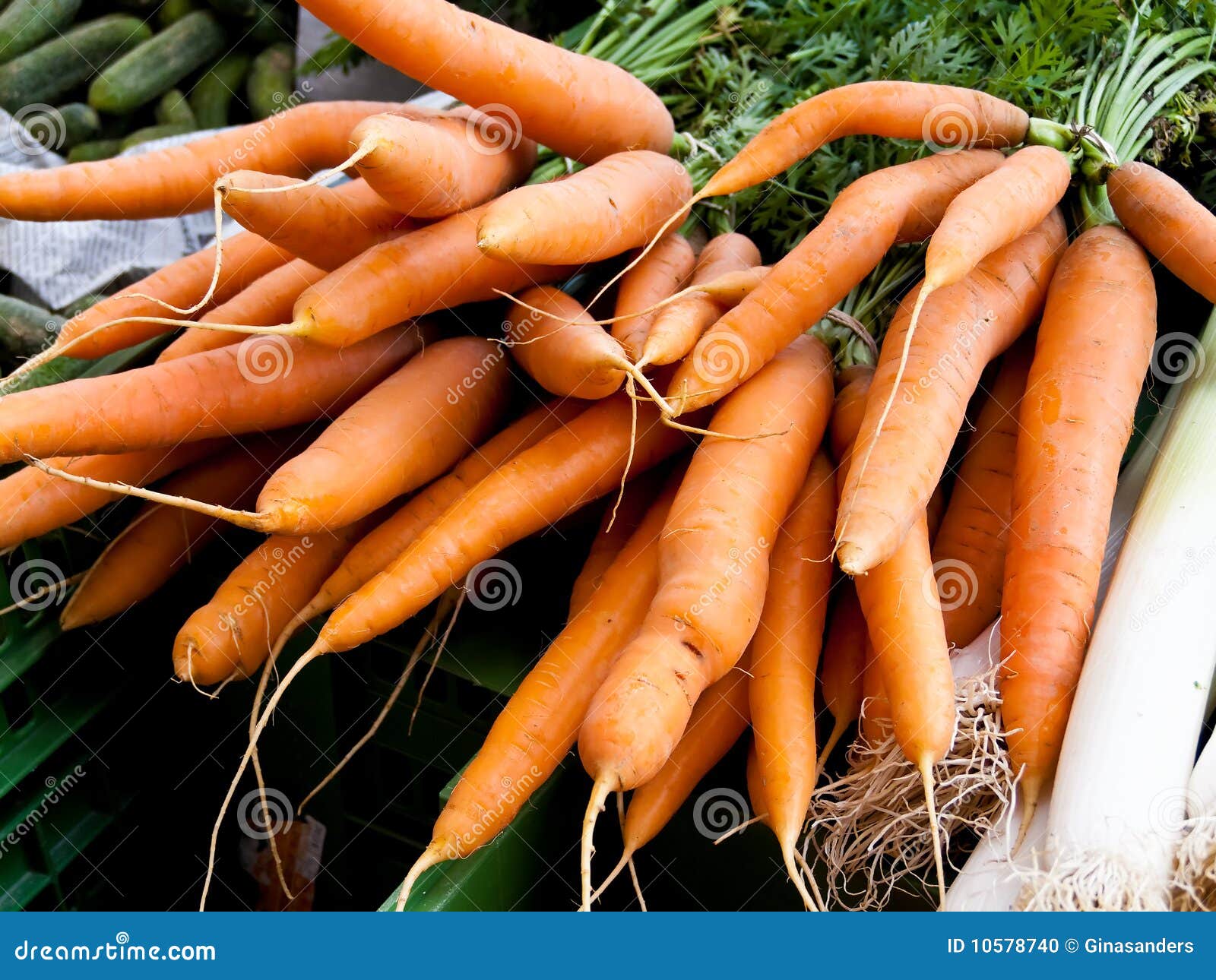 A Bundle of Fresh Carrots - Carrots Stock Photo - Image of federal ...