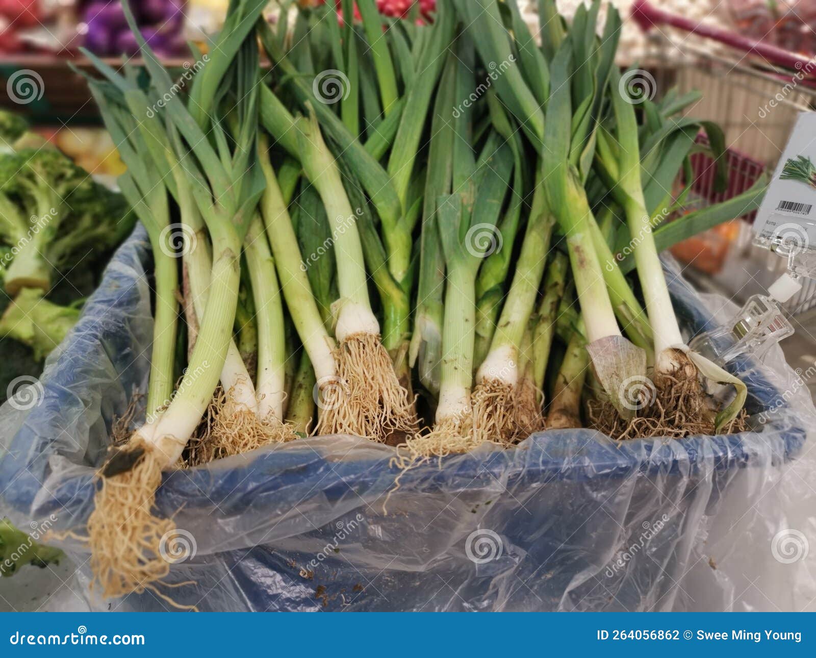 Bundle of the Fresh Green China Leeks Stock Photo - Image of china ...