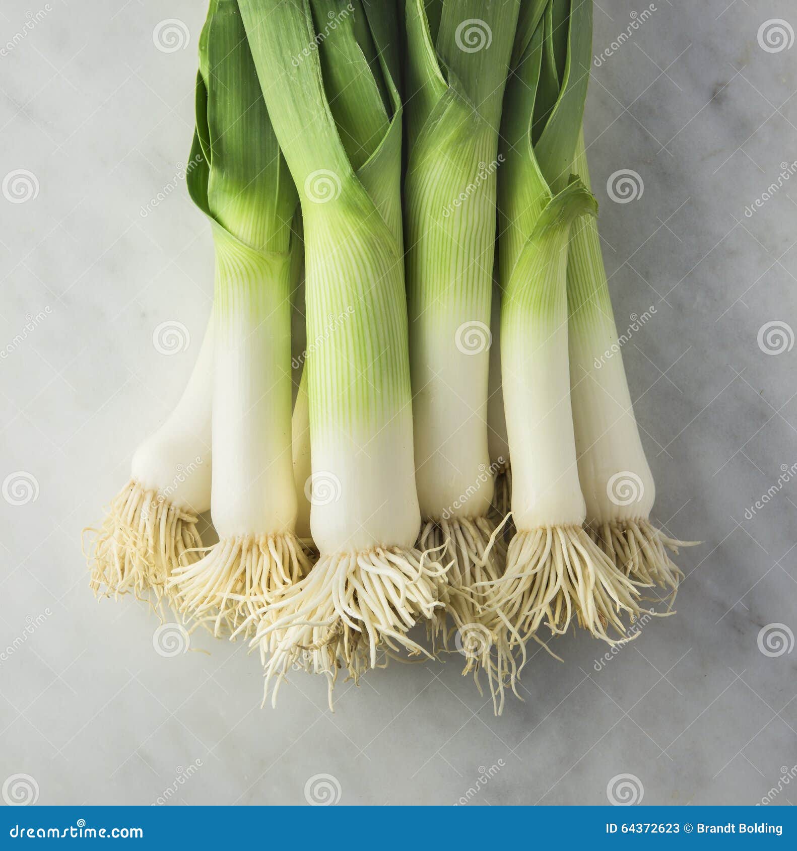 Bundle of Fresh Leeks stock image. Image of bulbs, fresh - 64372623