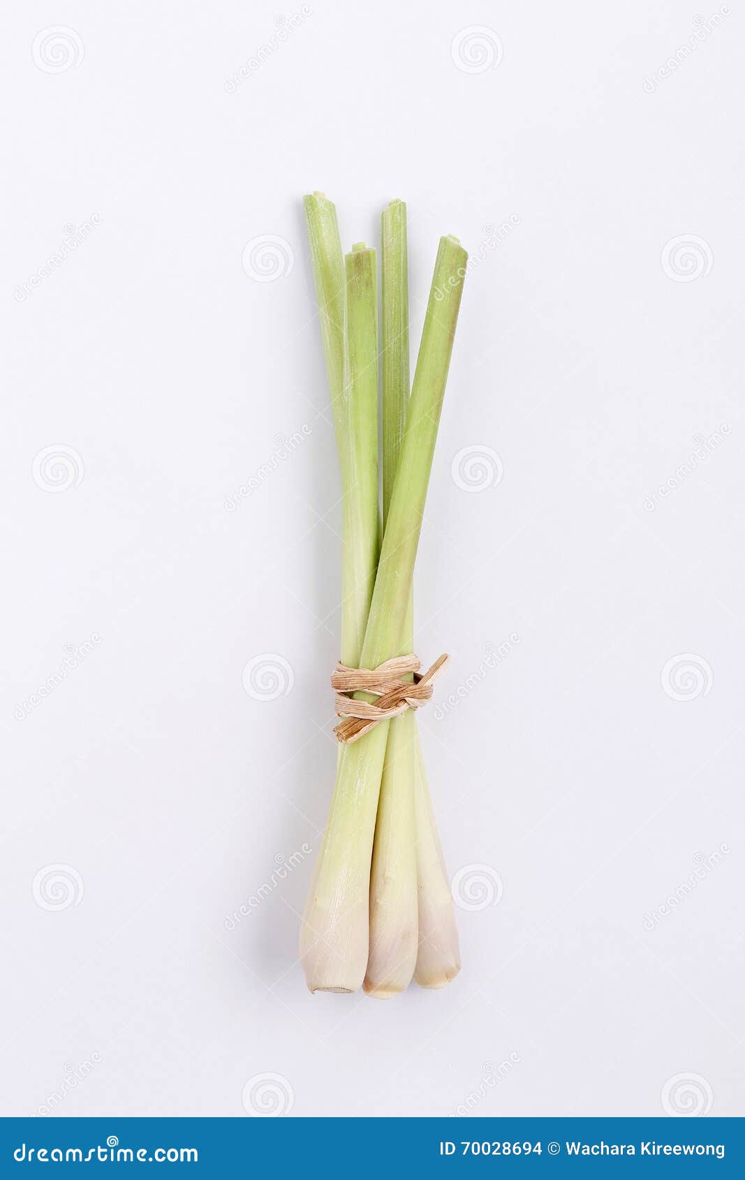 Bundle of Fresh Lemon Grass Isolated on White. Stock Photo - Image of ...
