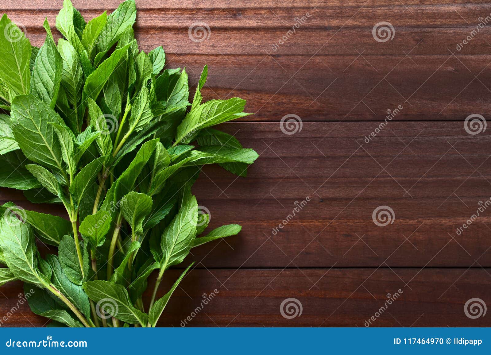 Bundle of Fresh Mint stock photo. Image of plant, remedy - 117464970