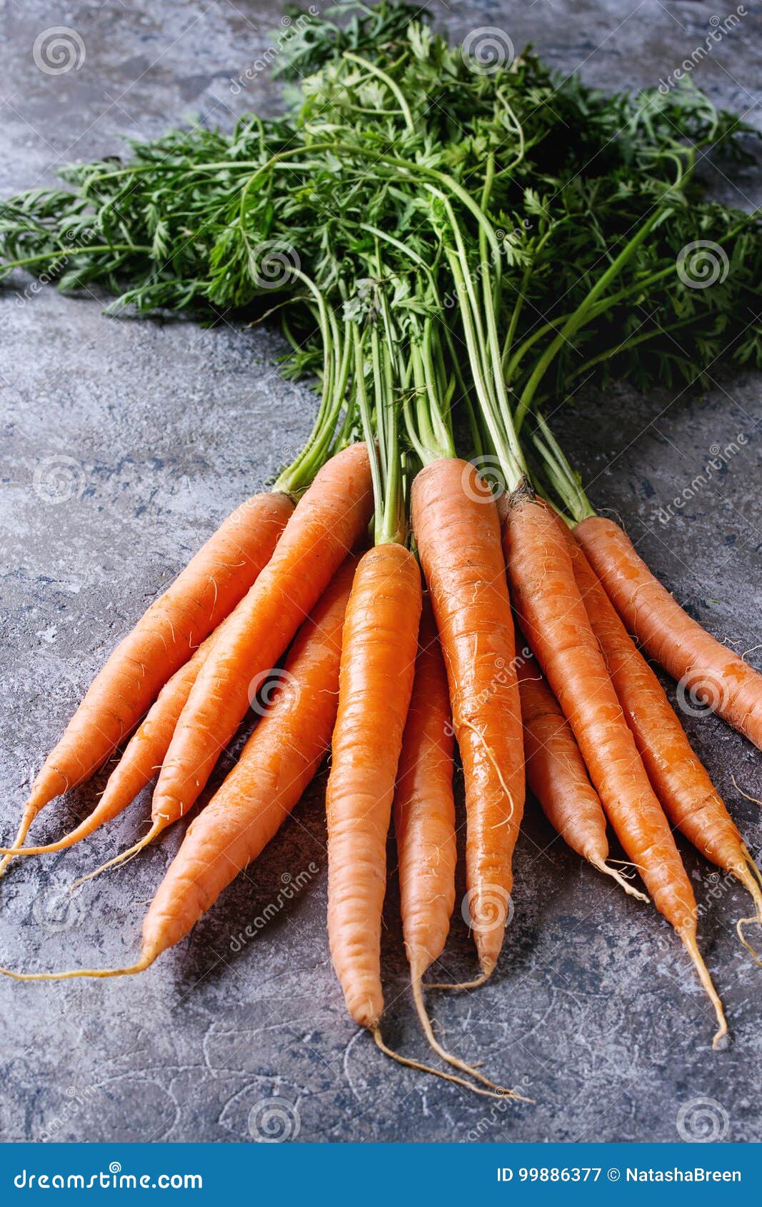 Bundle of fresh carrot stock image. Image of eating, healthy - 99886377