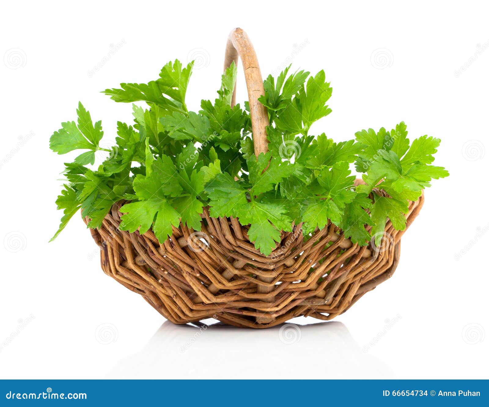 Bundle of Fresh Parsley in a Wicker Basket, Stock Photo - Image of food ...