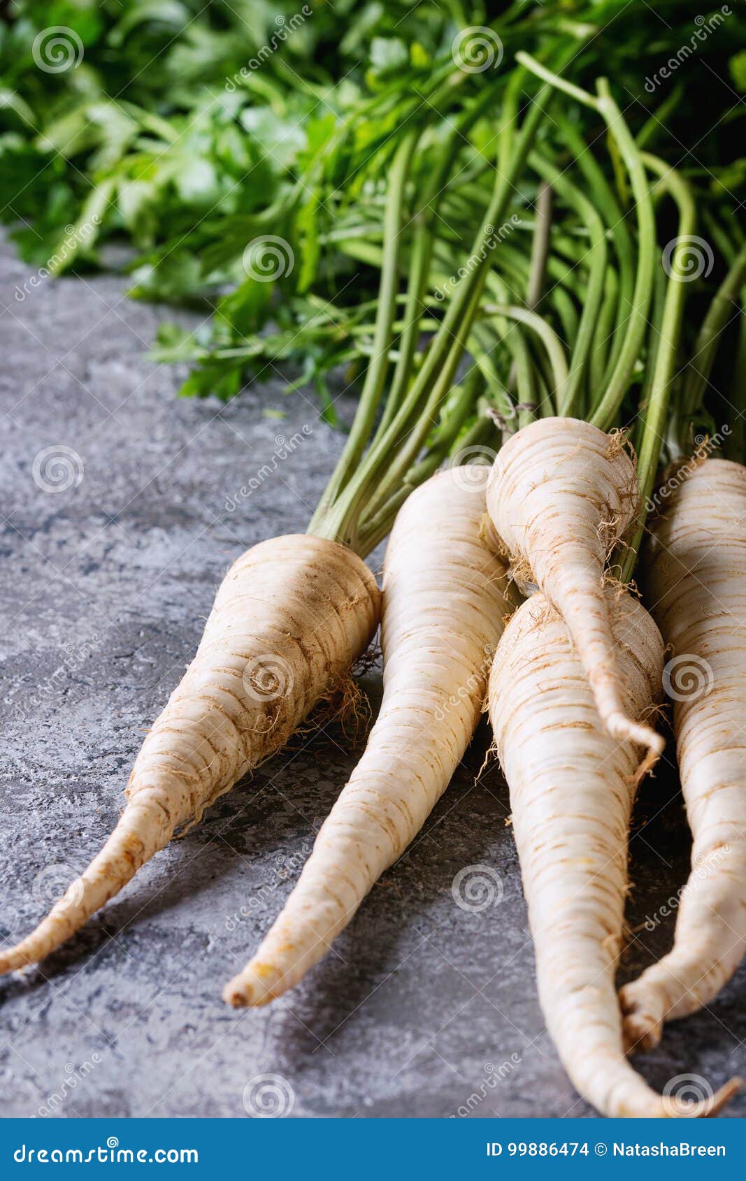 Bundle of fresh parsnip stock photo. Image of green, fresh - 99886474