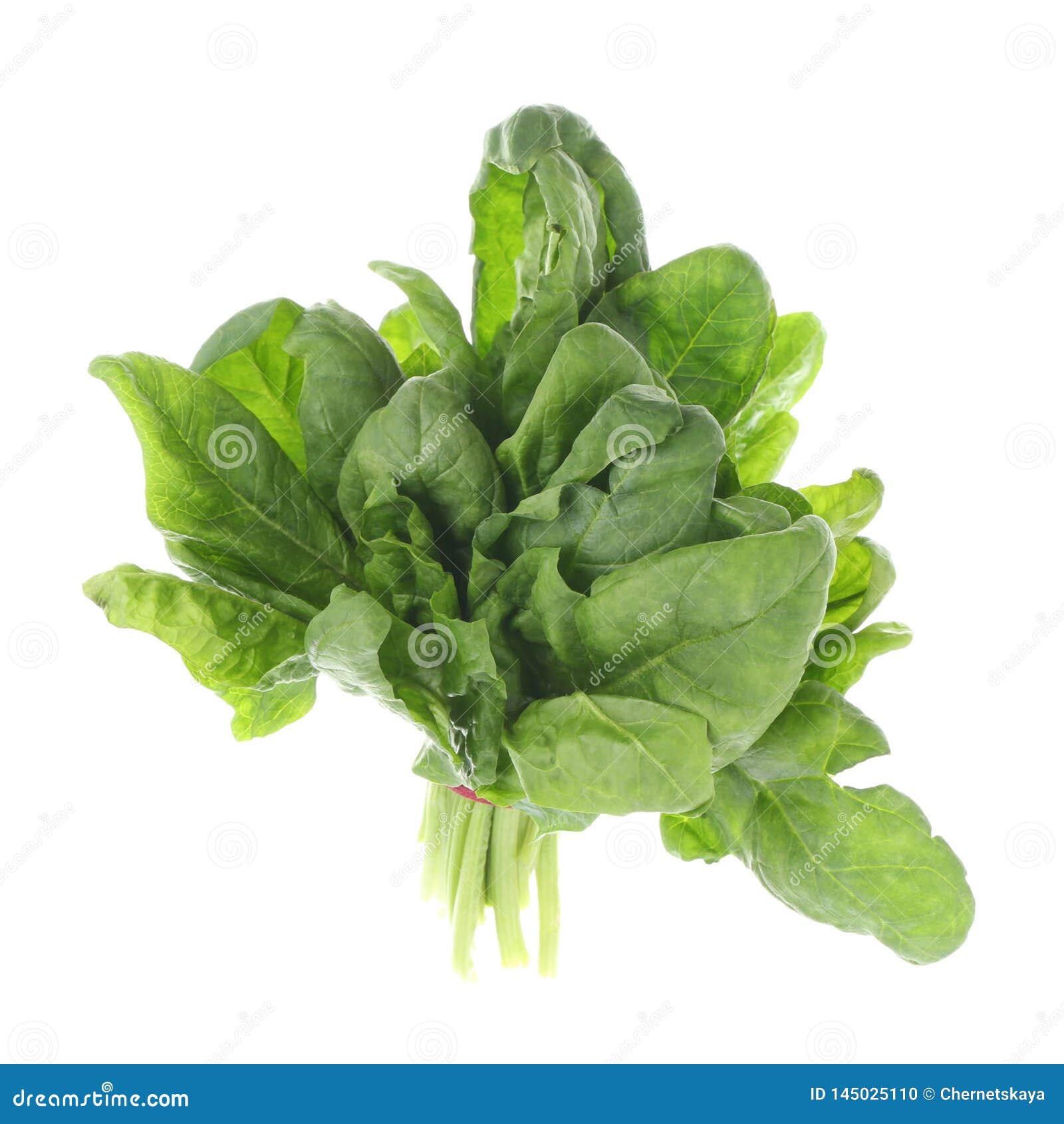 Bundle of Fresh Spinach Isolated Stock Photo - Image of ingredient ...