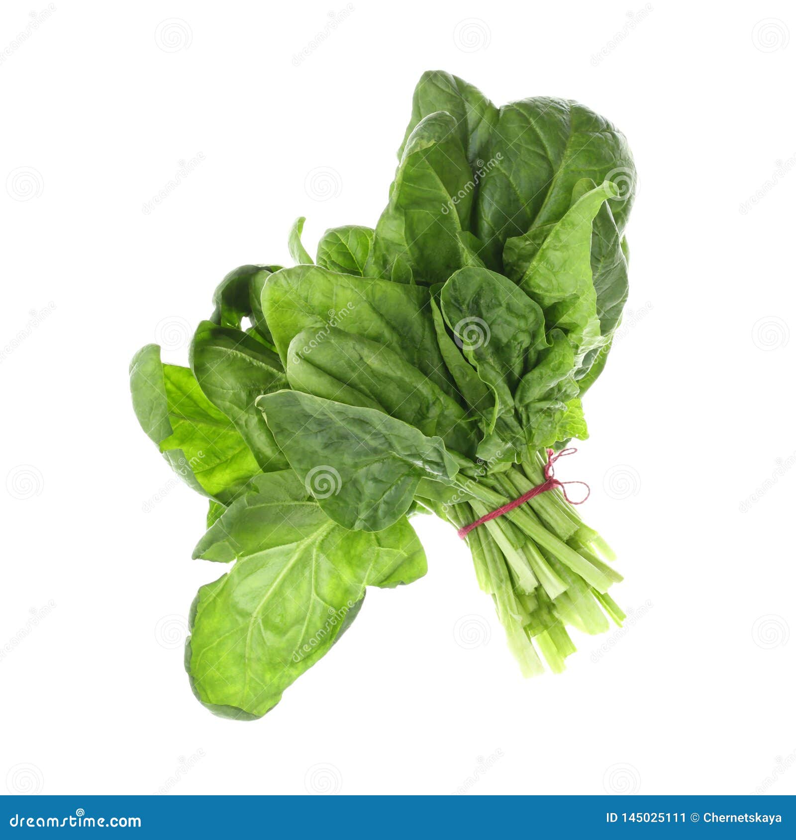 Bundle of Fresh Spinach Isolated Stock Image - Image of organic, plant ...