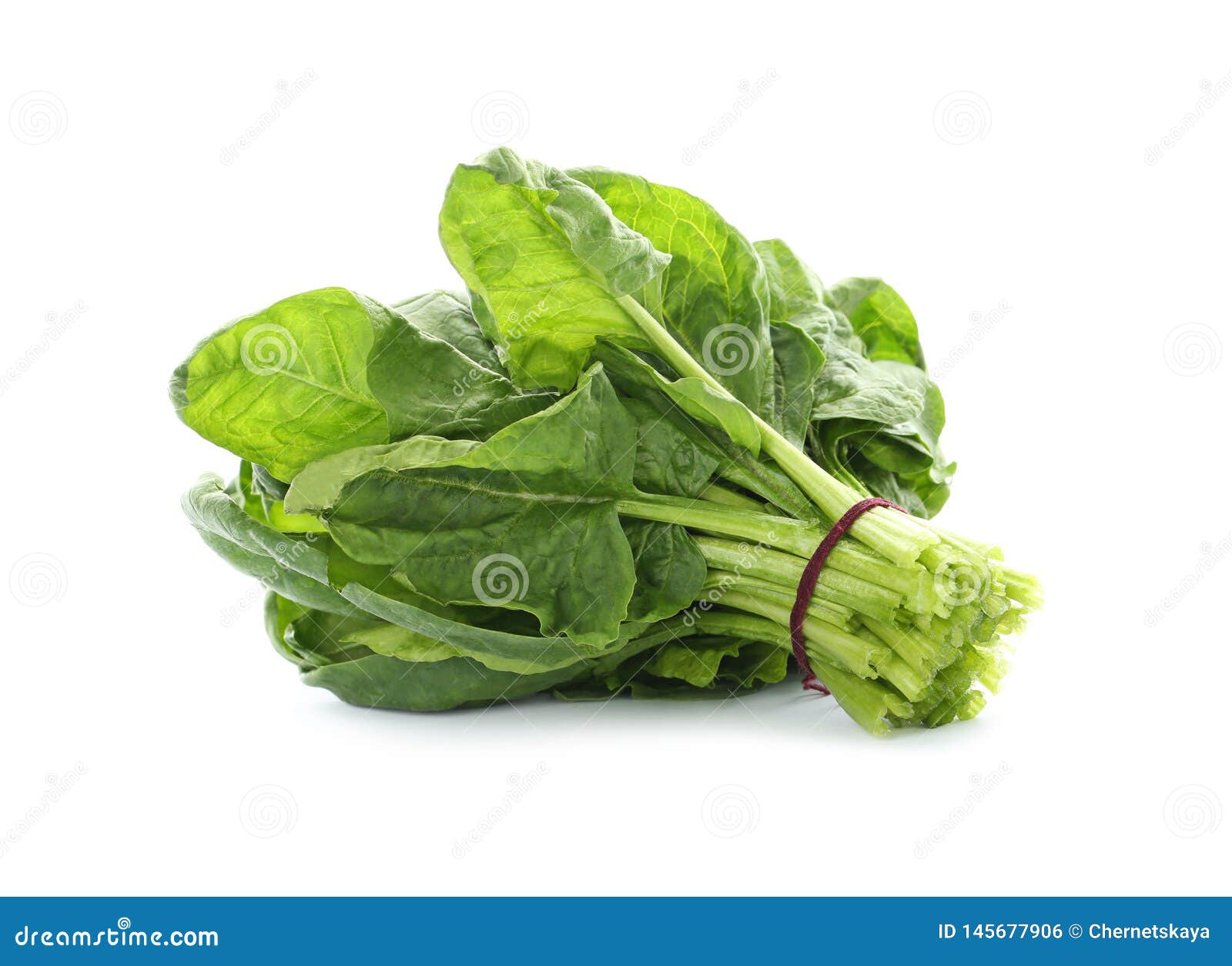 Bundle of Fresh Spinach Isolated Stock Photo - Image of dietary ...