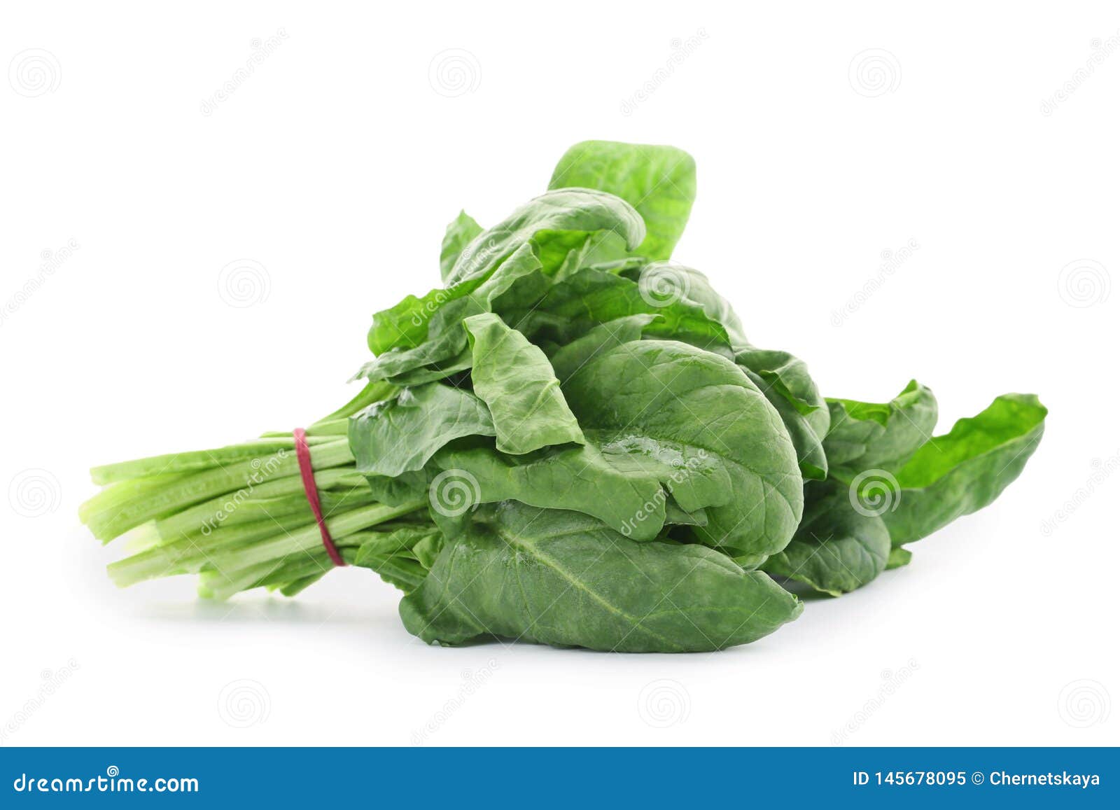 Bundle of Fresh Spinach Isolated Stock Image - Image of organic, bunch ...