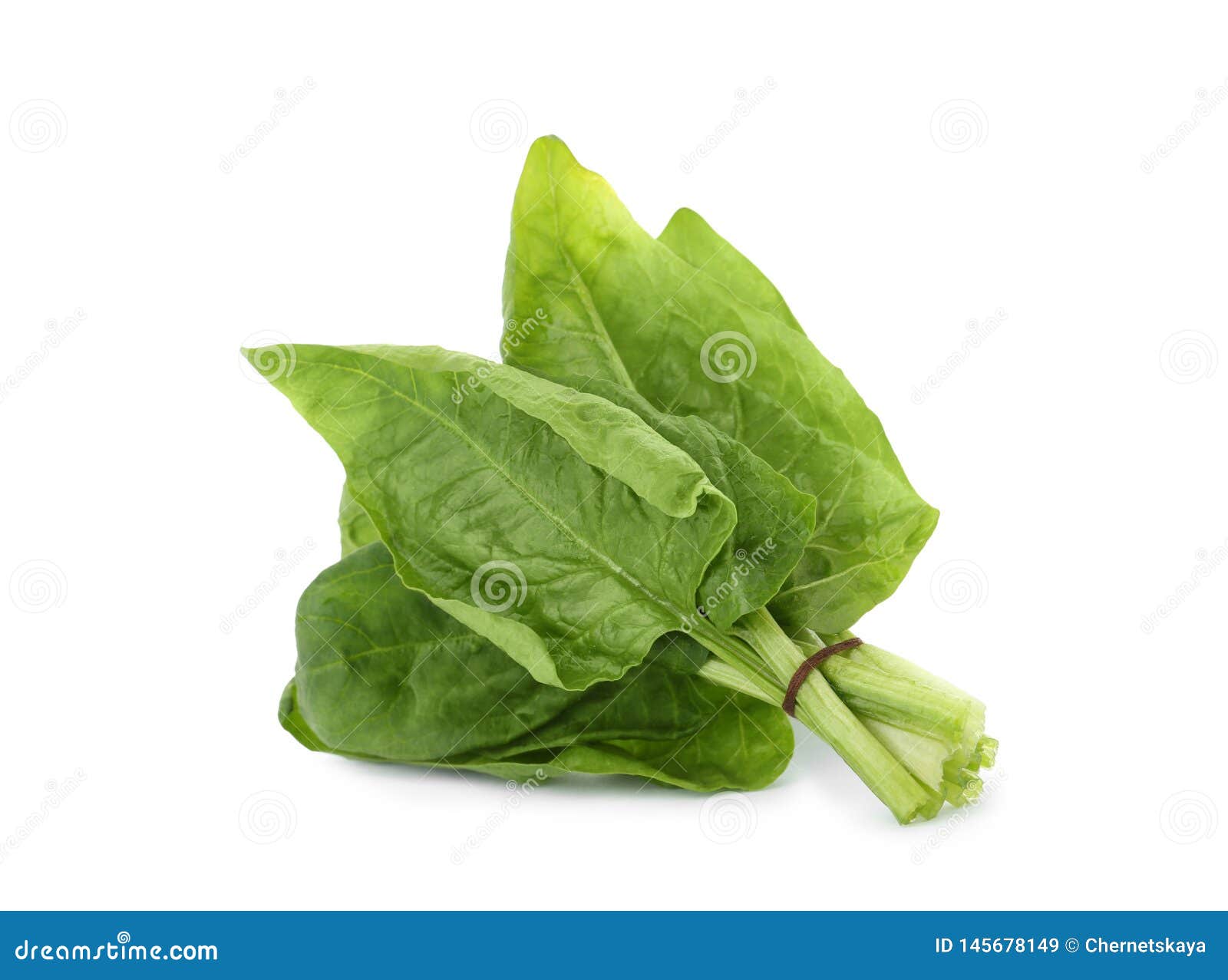 Bundle of Fresh Spinach Isolated Stock Image - Image of natural, leaves ...