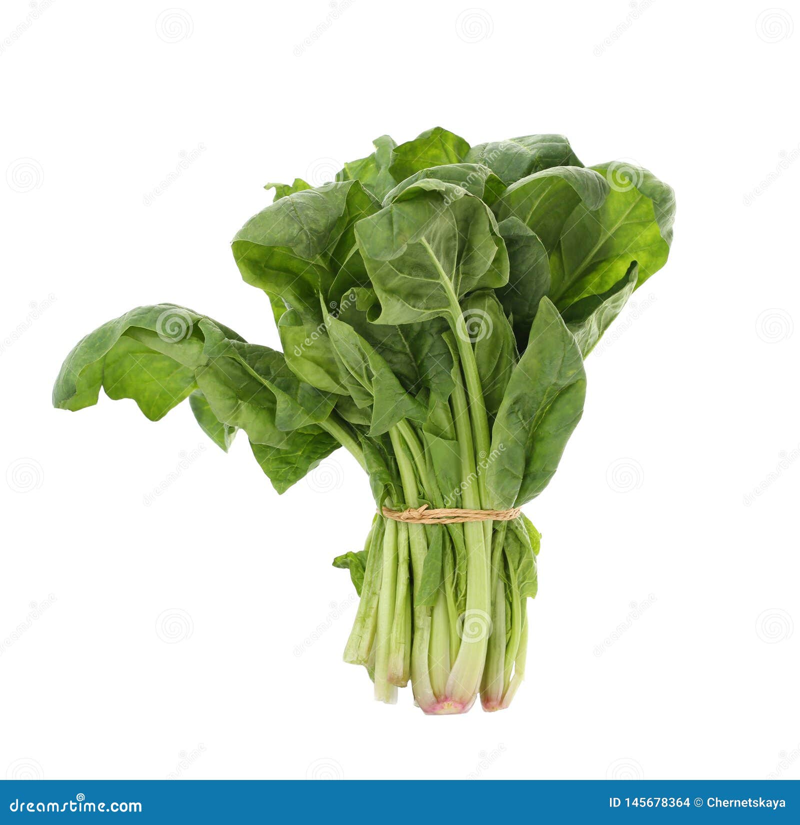 Bundle of Fresh Spinach Isolated Stock Photo - Image of green, healthy ...