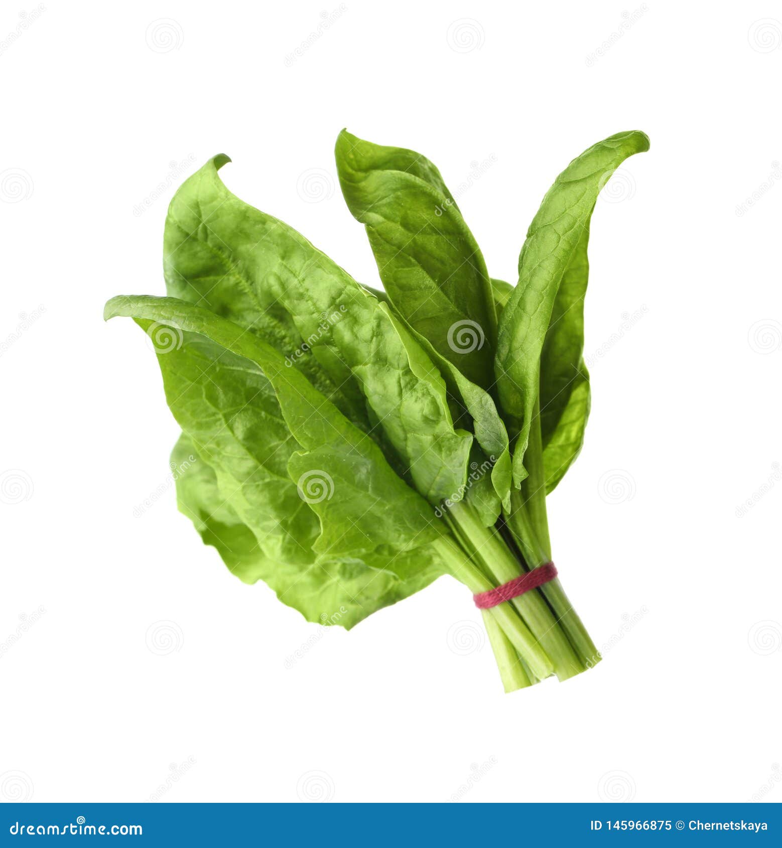 Bundle of Fresh Spinach Isolated Stock Image - Image of cuisine ...
