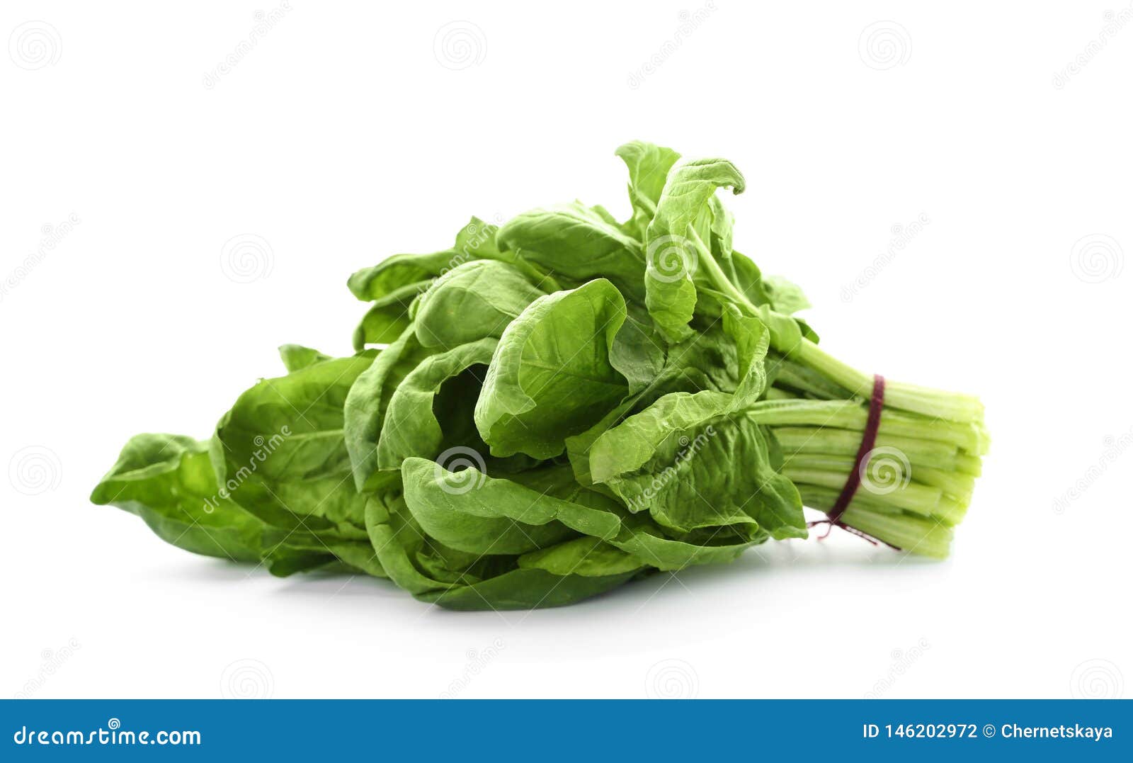 Bundle of Fresh Spinach Isolated Stock Photo - Image of dietary ...
