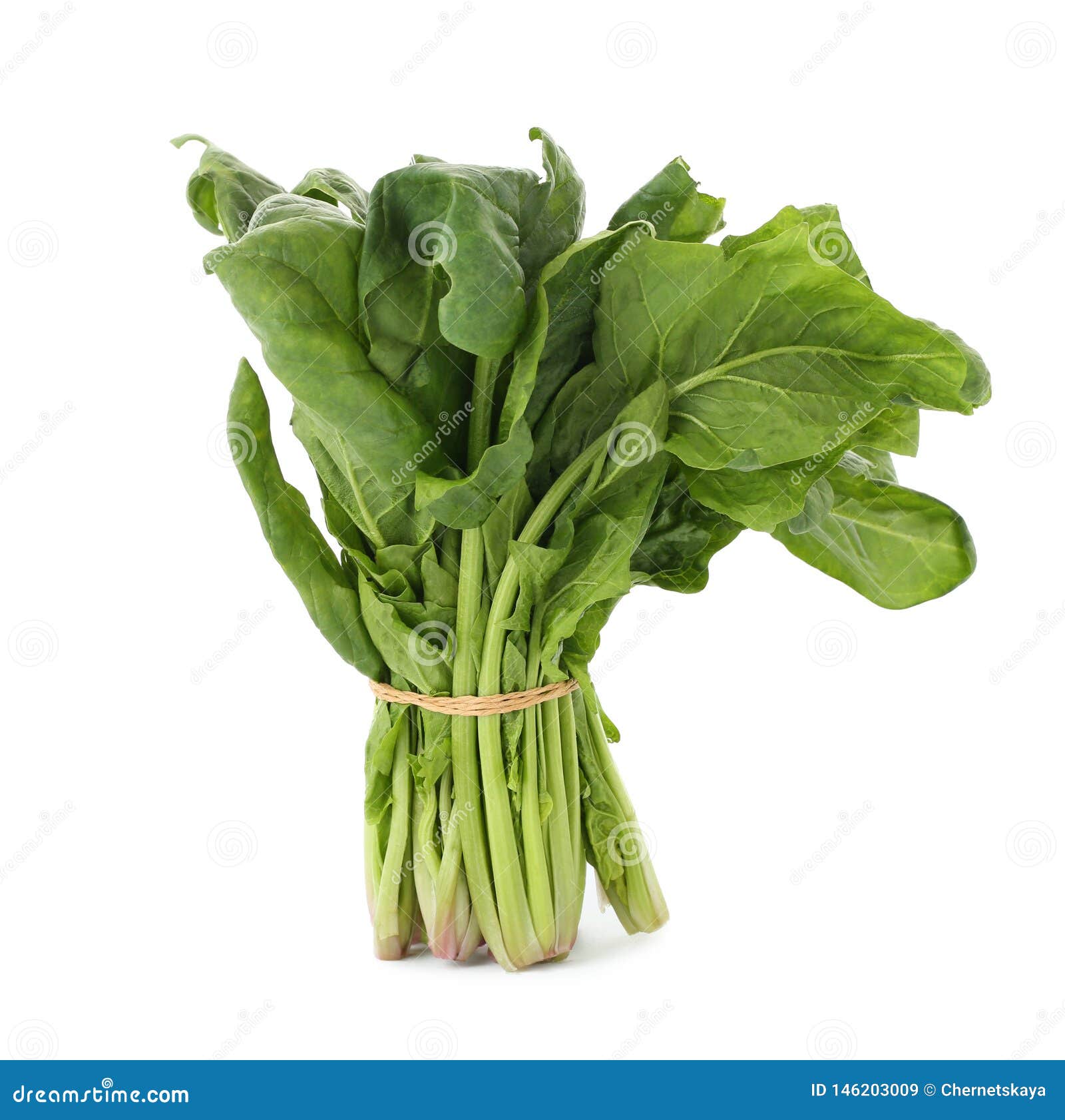 Bundle of Fresh Spinach on White Stock Image - Image of produce ...