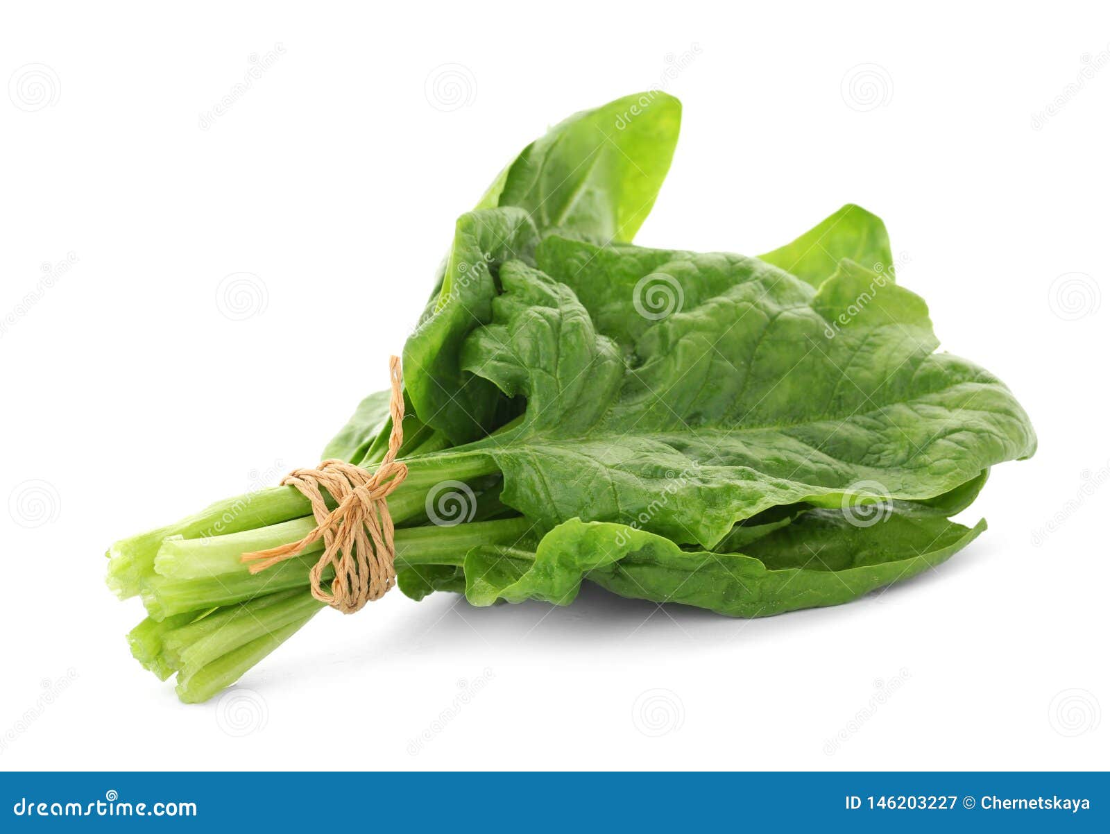 Bundle of Fresh Spinach on White Stock Image - Image of organic, health ...