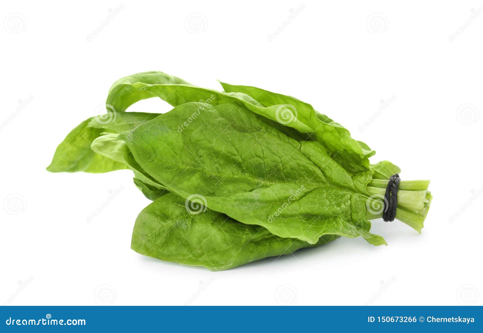 Bundle of Fresh Spinach on White Stock Photo - Image of healthy ...