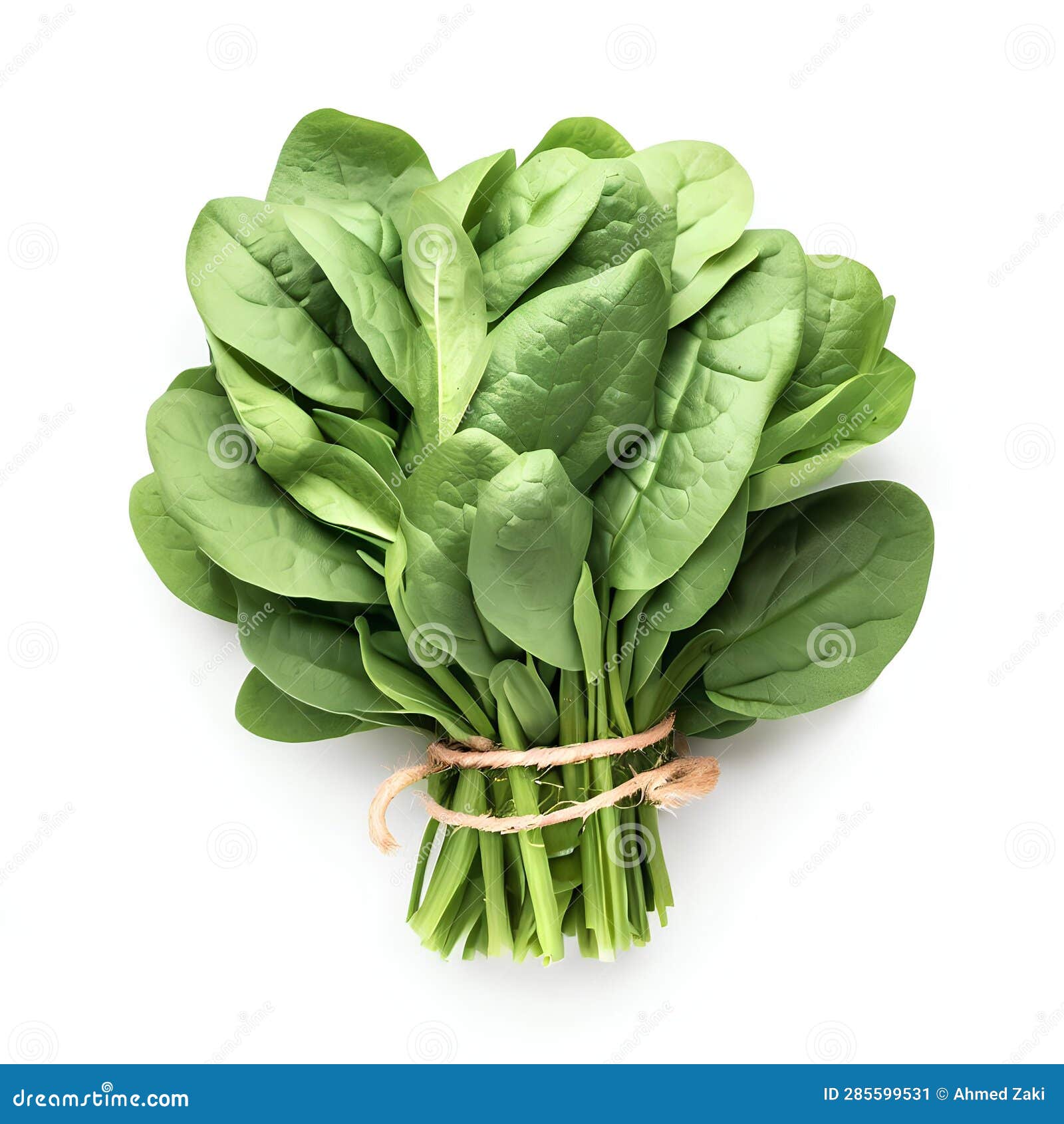 AI Generated, Bundle Of Cocktails Set. Illustration Of Different ...