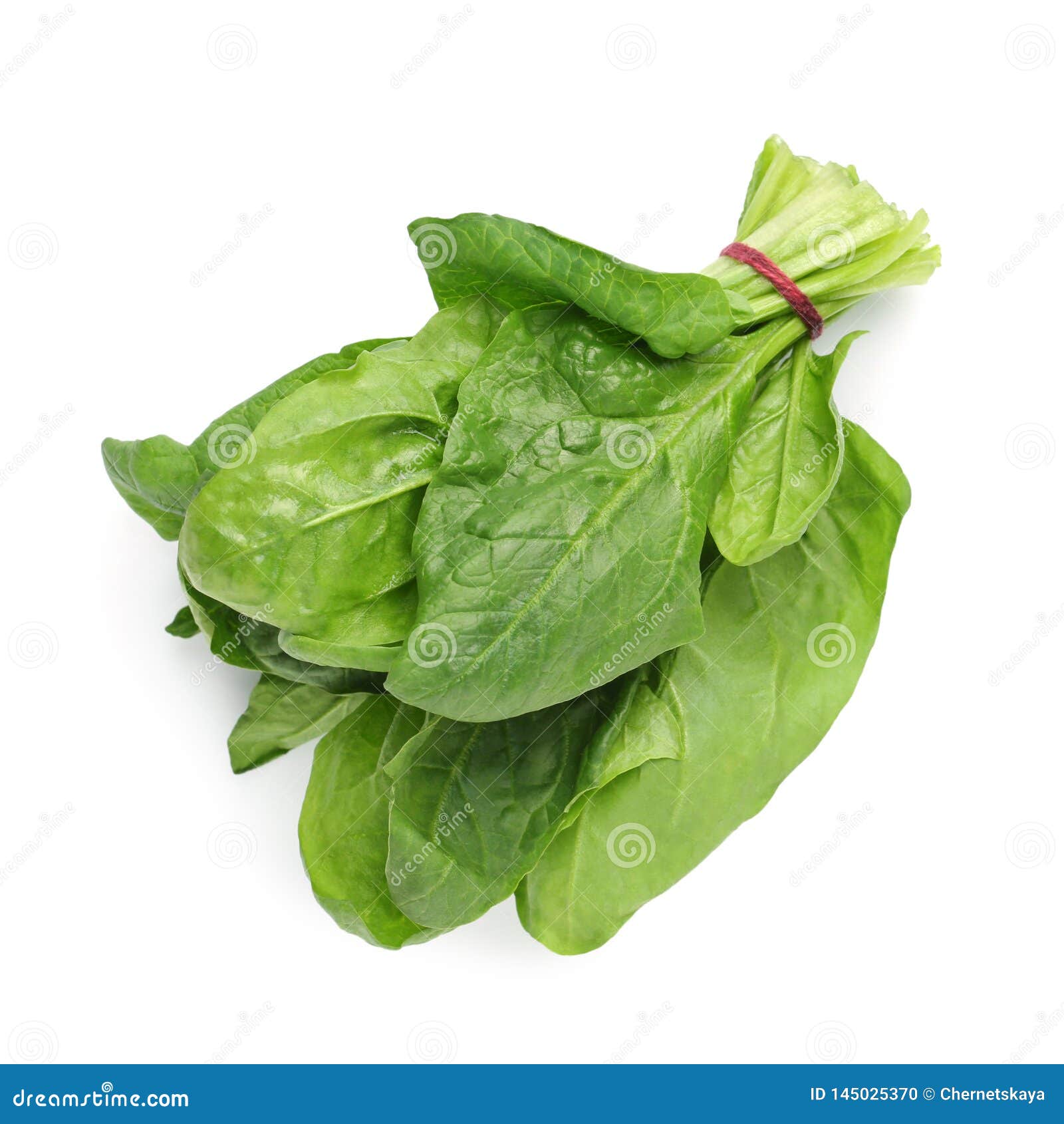 Bundle of Fresh Spinach Isolated on White, Stock Photo - Image of green ...