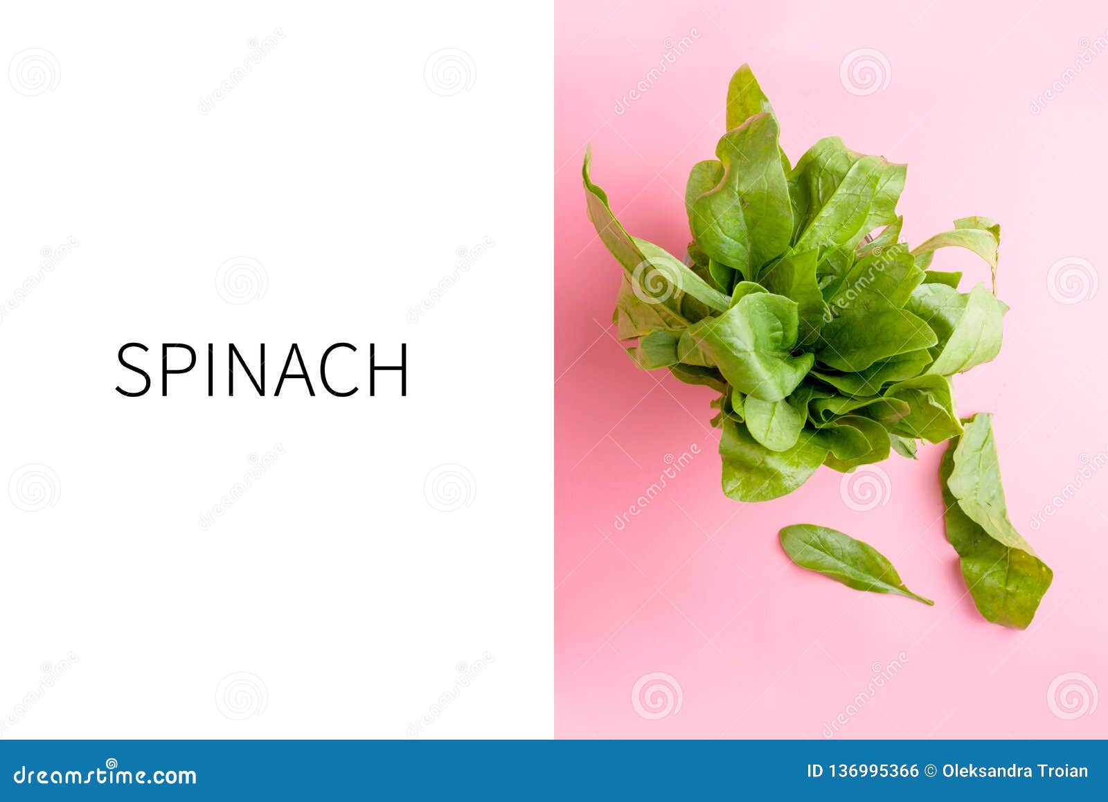 A Bundle of Fresh Spinach on Pink Background Healthy Eating Concept ...