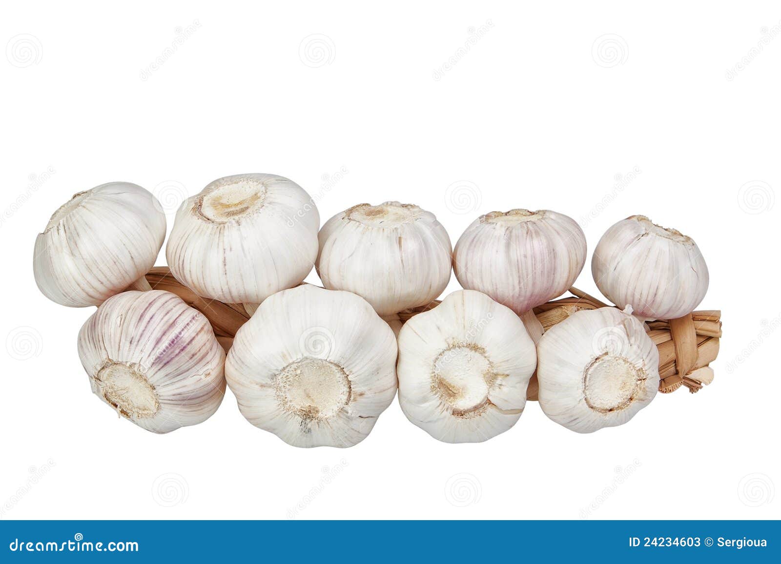 Bundle of garlic. stock image. Image of medicine, eating - 24234603