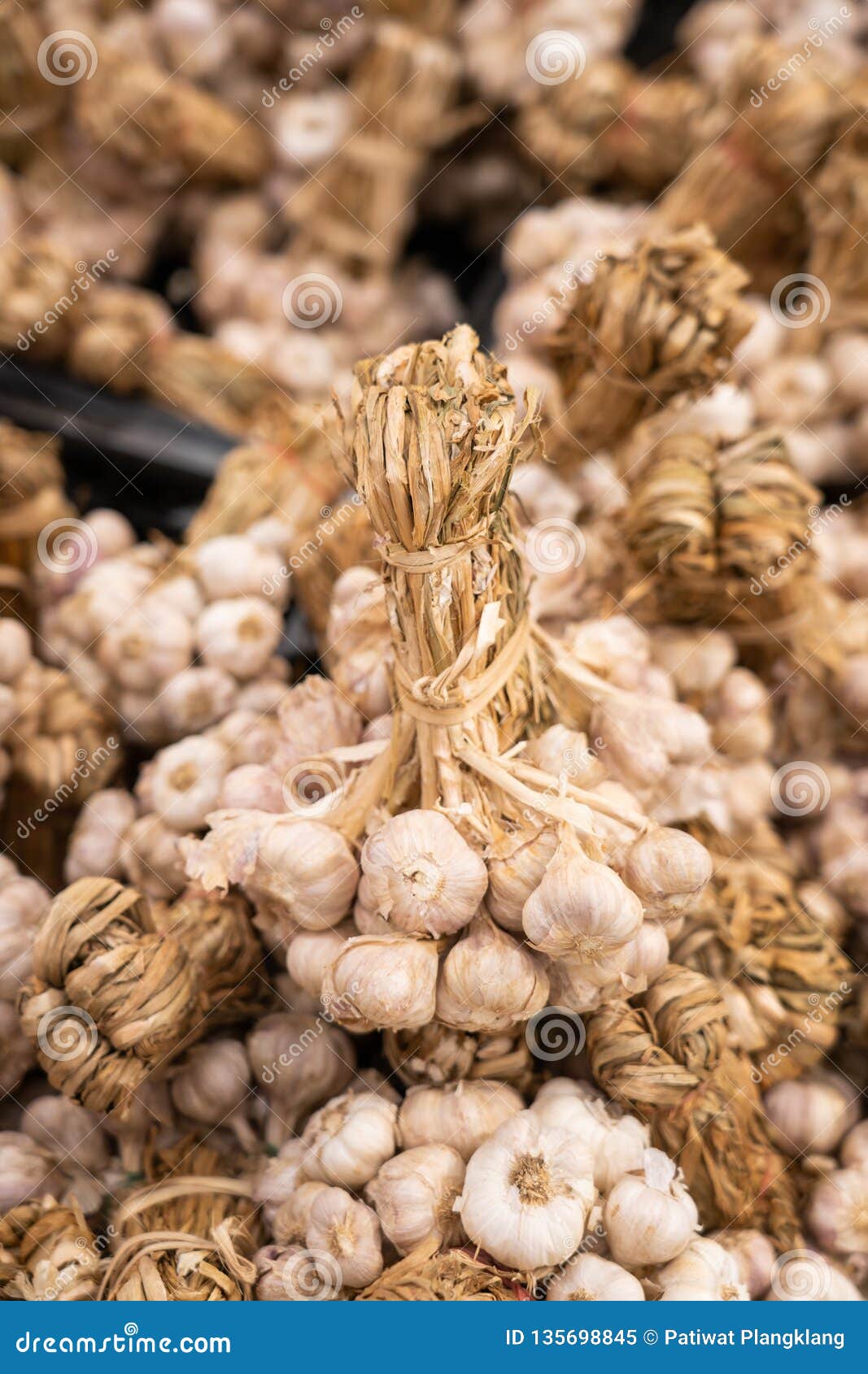 Bundle of garlic stock image. Image of harvest, consumer - 135698845