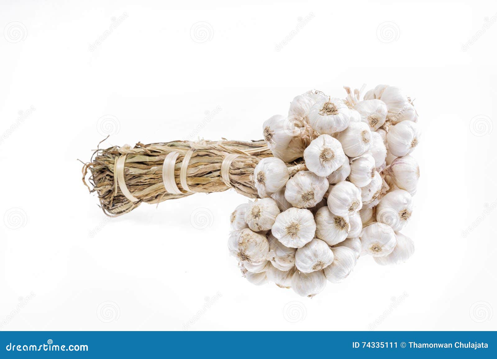 Bundle of garlic stock image. Image of condiment, healthy - 74335111