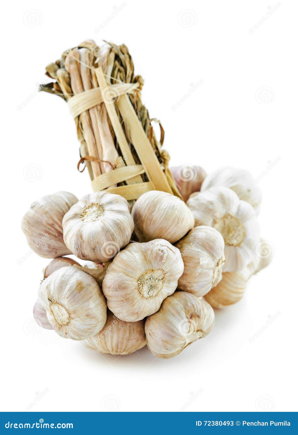 Bundle of garlic. stock image. Image of natural, healthy - 72380493