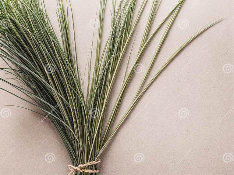 A Bundle of Green Grass is Tied Together with a String Stock ...