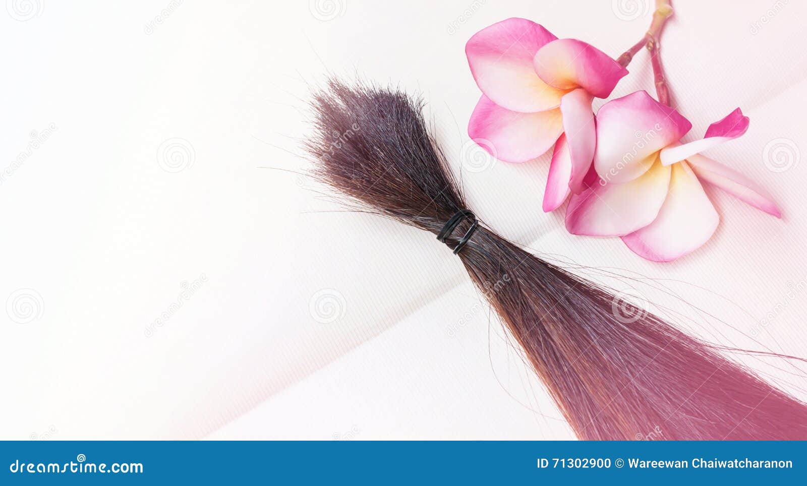 Bundle Hair Cut Fasten Put on Blank Note Book with Flower Background ...