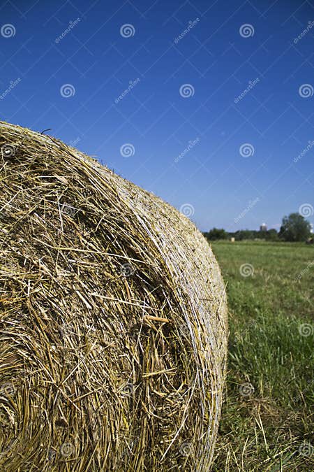 Bundle of hay stock image. Image of farming, compressed - 43789597