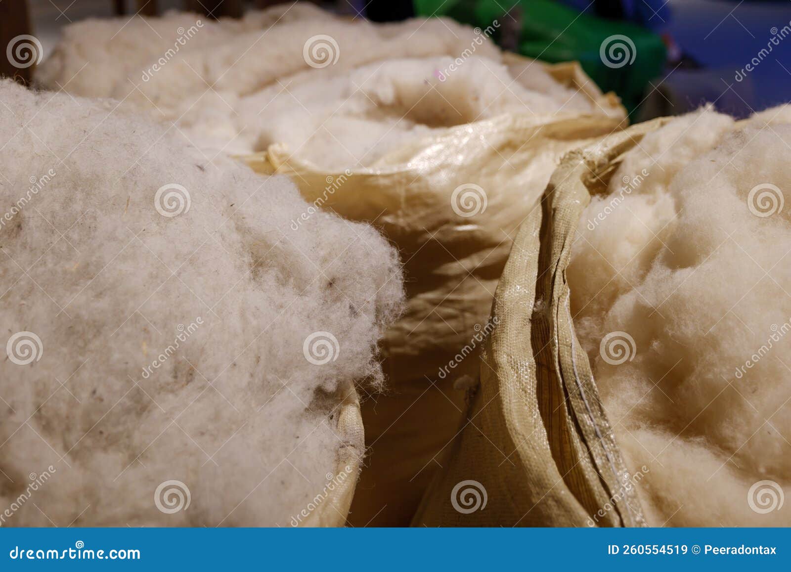 Bundle of heap sheep wool. stock image. Image of animal - 260554519