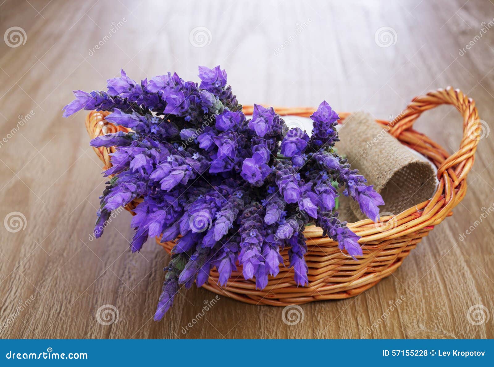 Bundle of lavender stock photo. Image of natural, floral - 57155228